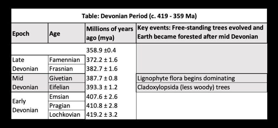 Earliest Fossil Forest on the Earth discovered in England | Scientific ...