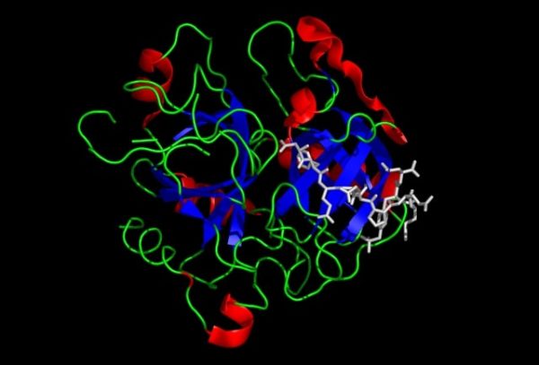 Hympavzi (marstacimab): nuevo tratamiento para la hemofilia ...