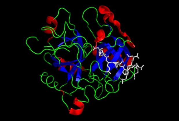 Hympavzi (marstacimab): nuevo tratamiento para la hemofilia ...
