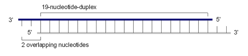 Qfitlia (Fitusiran) : un nouveau traitement à base d'ARNsi pour l ...